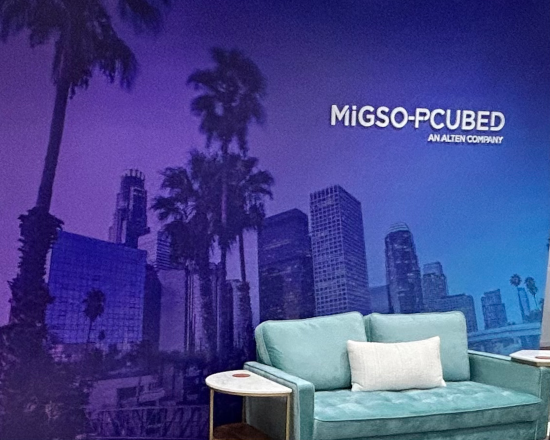 Project Management Consulting USA — MIGSO-PCUBED